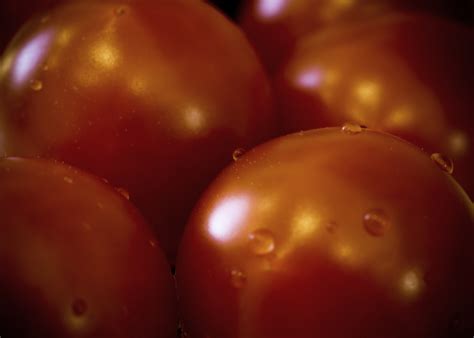 Tomato Free Stock Photo Public Domain Pictures