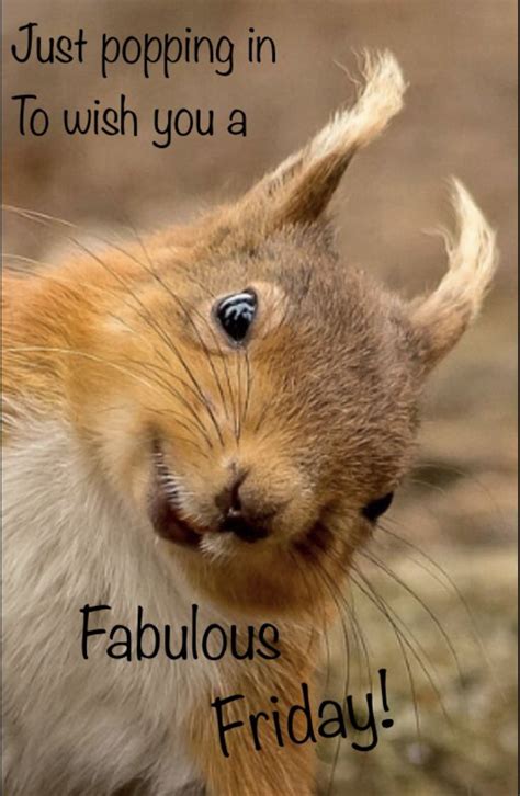 Happy Friday Meme Funny