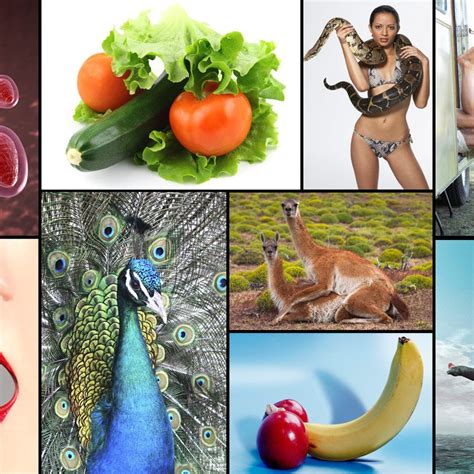 22 Ways To Show Sex Without Actually Showing It