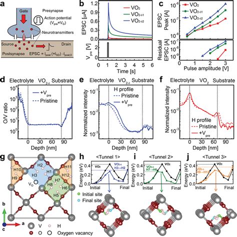 Excitatory Postsynaptic Current Epsc And Proton Insertion Triggered