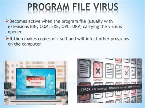 Disha Patel Computer Virus Pptpptx Operating Systems Computer Software And Applications