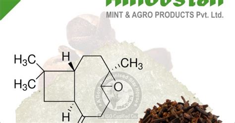 Caryophyllene Oxide Manufacturer Exporter India Usa