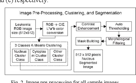 Figure 1 From Acute Lymphoid Leukemia Classification Using Two Step