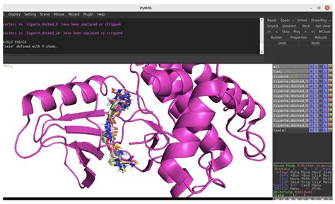 Re Docking Molecular Utilizando O Pymol E Autodock Vina Bioinfo