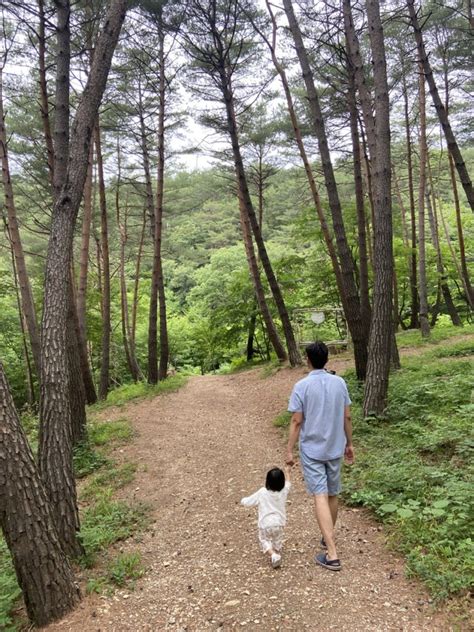 [아기랑 자연휴양림] 첫번째 국립검마산자연휴양림 네이버 블로그