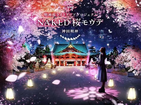 都内隠れ桜スポット神田明神でネイキッドの夜桜夜間参拝アート体験都内の隠れた桜の名所神田明神NAKEDディスタンス提灯で