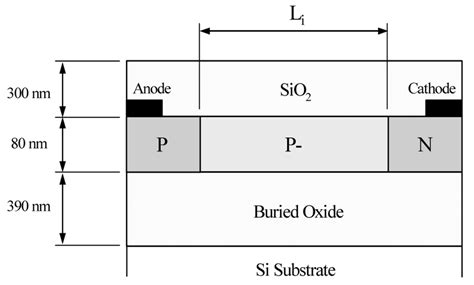 Schematic Cross Section Of One Finger Of The Thin Film Lateral Soi Pin