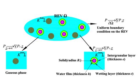 Schematic Illustration Of Morphology Of The Unsaturated Granular Download Scientific Diagram