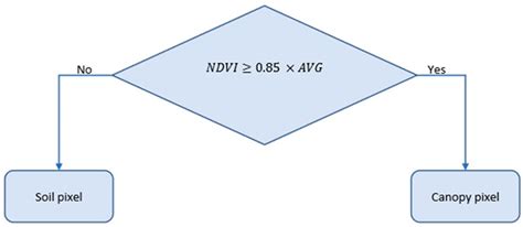 Remote Sensing Free Full Text Uav Based High Throughput Phenotyping In Citrus Utilizing