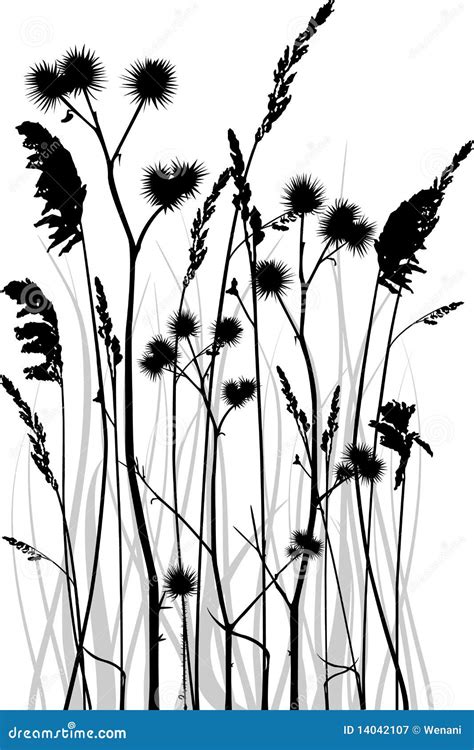 Grass Silhouette Stock Vector Illustration Of Abstract 14042107