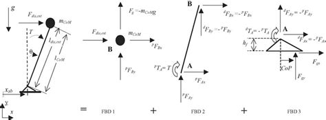 Free Body Diagrams Fbd Of The Balance Control Model The Forces And Download Scientific