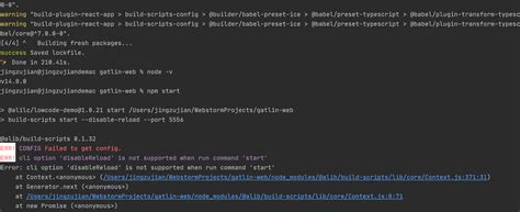依赖安装完成后启动不了 Error Cli Option Disablereload Is Not Supported When Run