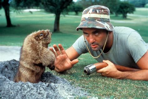 Gopher Cradles Golf Ball In Video Dubbed Real Life “caddyshack
