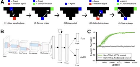 Deep Reinforcement Learning Agent Is Capable Of Learning The Simulated Download Scientific Diagram