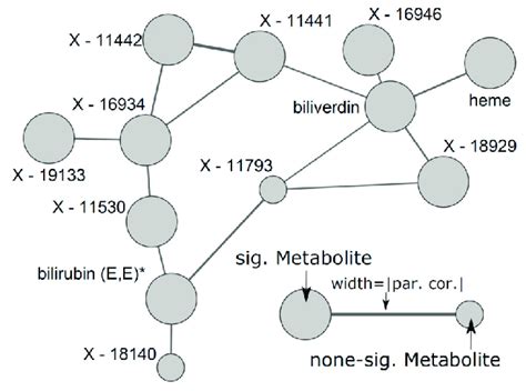 Subnetwork From The Gaussian Graphical Model To Reconstruct Metabolite