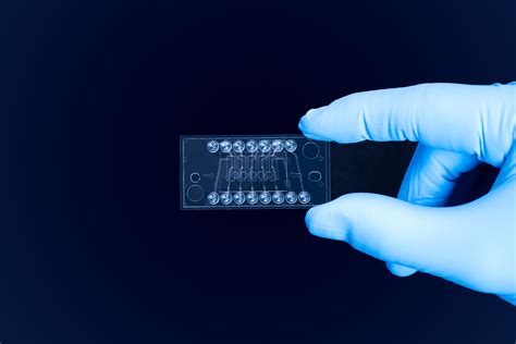 Refeyn Introduces New Mass Photometry Products To Streamline