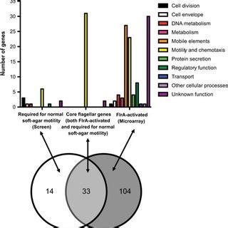 Comparison Of Soft Agar Motility Screening And Microarray Analyses The