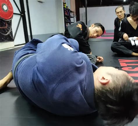 Fight Dynasty Mma Academy Tallypress