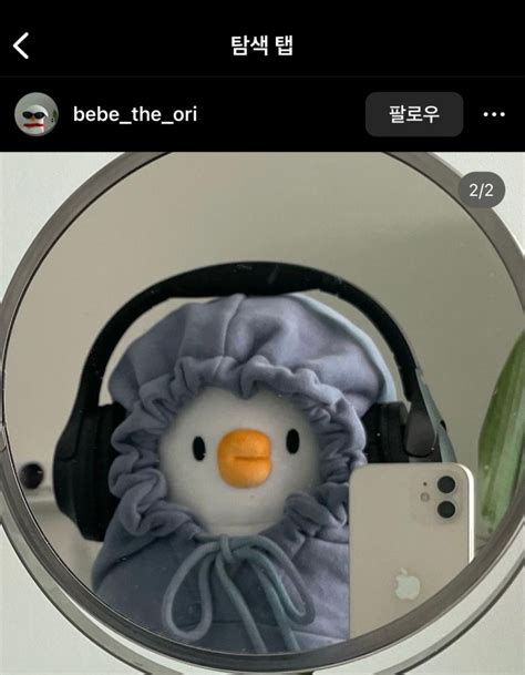 인스타 피드 사진 찾아주세요̎ 지식in