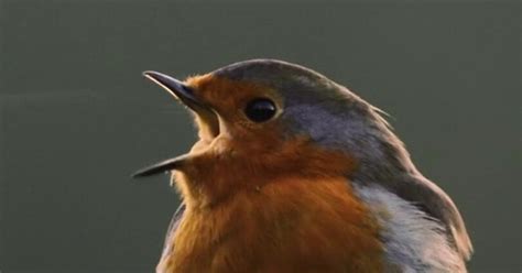 인간이 혹사시킨 땅 다시 자연 상태로