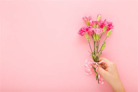 밝은 분홍색 배경에 리본을 가진 분홍색 카네이션의 신선한 아름다운 꽃 꽃다발을 들고 어린 아이 소녀 손 파스텔 색상 근접 촬영 텍스트를 위한 빈 공간입니다 앞 모습 감사에