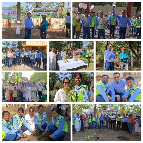 Priyabrata Biswas On Linkedin While Carrying The Legacy Of World Environment Day Celebration