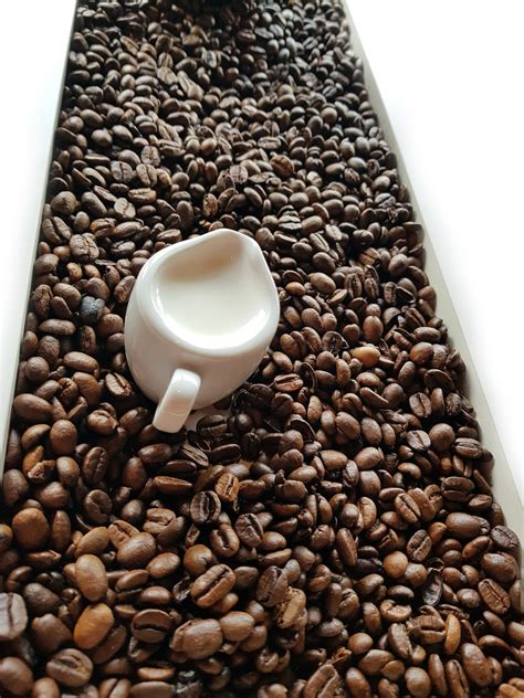 Café Granos De Leche Foto gratis en Pixabay Pixabay