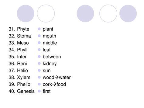 Ppt Biology Root Words Powerpoint Presentation Free Download Id 5380347