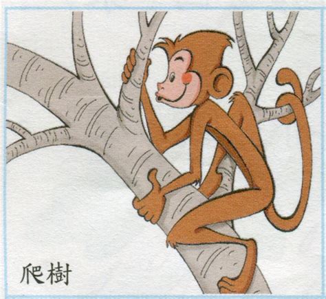 Meizhou Level Lesson Flashcards Quizlet