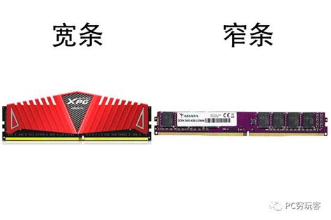 规格？尺寸？频率？这些有关内存条的小知识，你都了解了吗？ 知乎