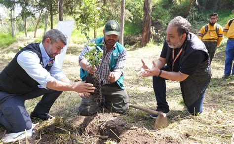 Reforestan Área Natural Protegida de Bosques de las Lomas en Miguel Hidalgo