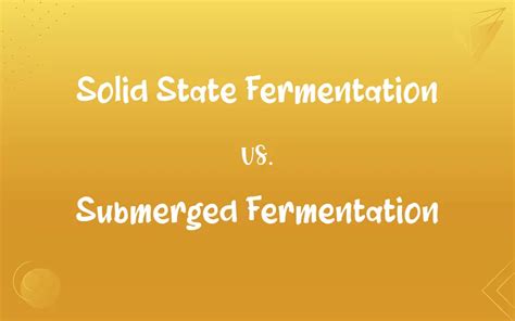 Solid State Fermentation Vs Submerged Fermentation Whats The Difference