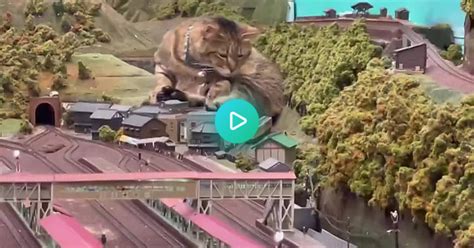 Train Has Been Delayed Kaiju Attack Album On Imgur