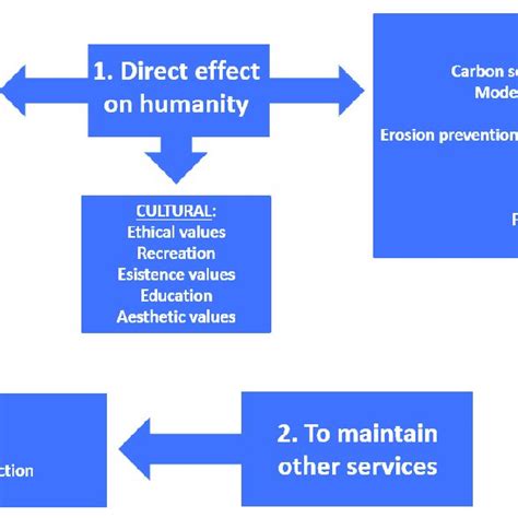 Ecosystem Services Definition Of Ecosystem Services Objective Direct Download Scientific