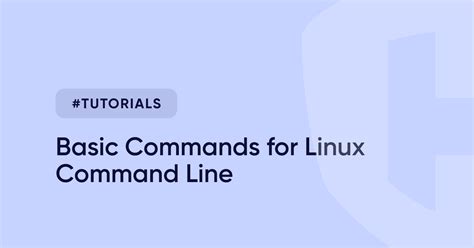 The Linux Command Line A Short Guide For Beginners Hostman