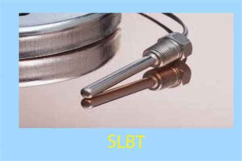 Temperature Sensor RTD Type Sun LabTek
