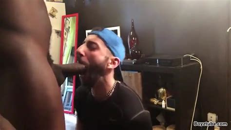 Francais Accroc A La Queue