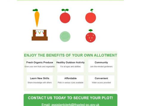 Allotment Plot Available