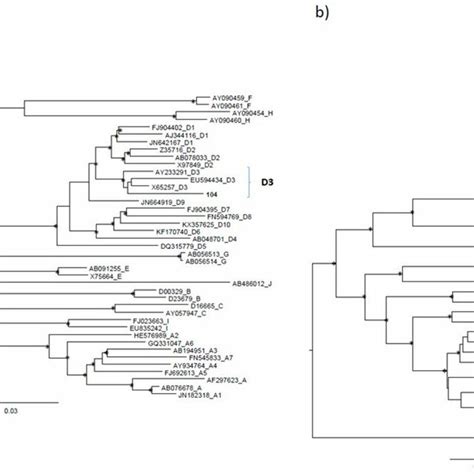 The Maximum Likelihood Phylogenetic Tree Built On The First A And