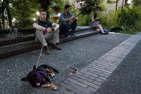 Pokemon Go Brings Crowds To Campus Vanguard