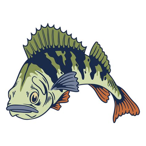 Diseño Png Y Svg De Trazo De Color De Pez Perca Para Camisetas