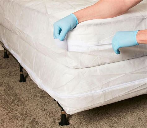 How Long Can Bed Bugs Live In A Plastic Bag Correct Answer
