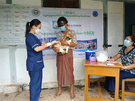 ငပုတောမြို့နယ်၌ ခွေးရူးရောဂါ ကာကွယ်ဆေးအခမဲ့ထိုးနှံပြီးစီး Information And Public Relations