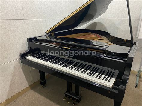 삼익그랜드피아노 중고나라 카페에서 운영하는 공식 사이트