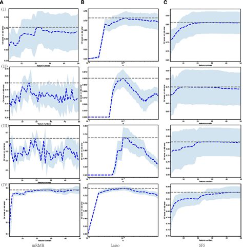 Feature Selection Process Performed On Different Datasets Through