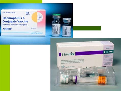 Иммунопрофилактика гемофильной инфекции презентация онлайн