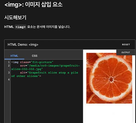 제로베이스 프론트엔드 스쿨 html 1 img src by yossessed medium