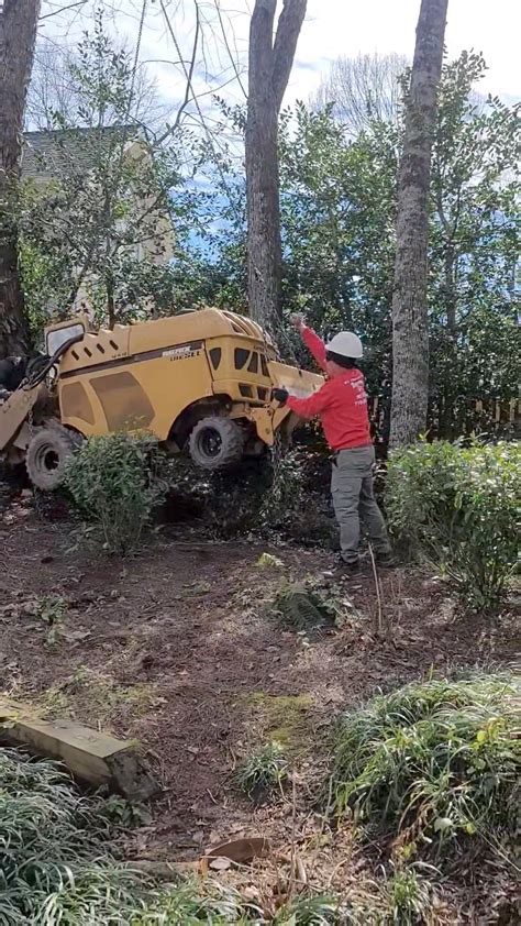 Tomahawk Tree Service
