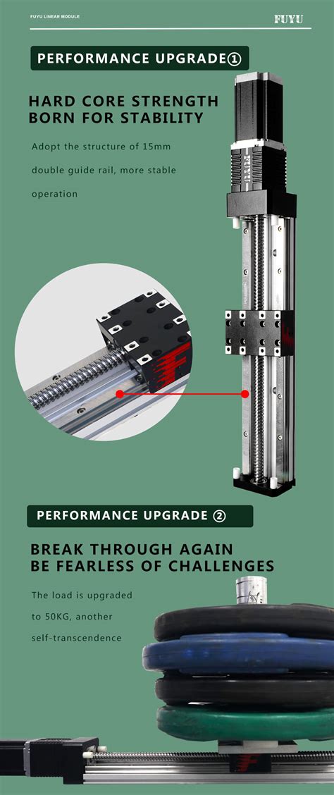 Double Rails Support Flip Load Optional Servo Motor Ball Screw Linear Guide Fuyu Technology Co
