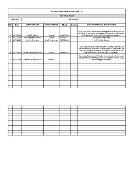 dsr report pdf